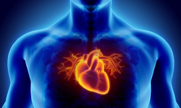 Oppression thoracique : causes, symptômes et solutions naturelles ...
